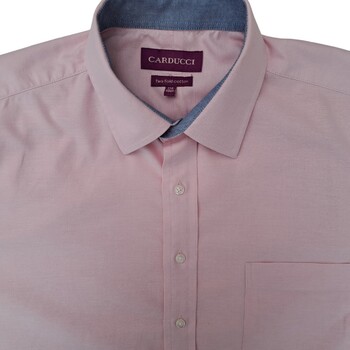 CARDUCCI Shirt Mens 17 L Pink - Brandinity